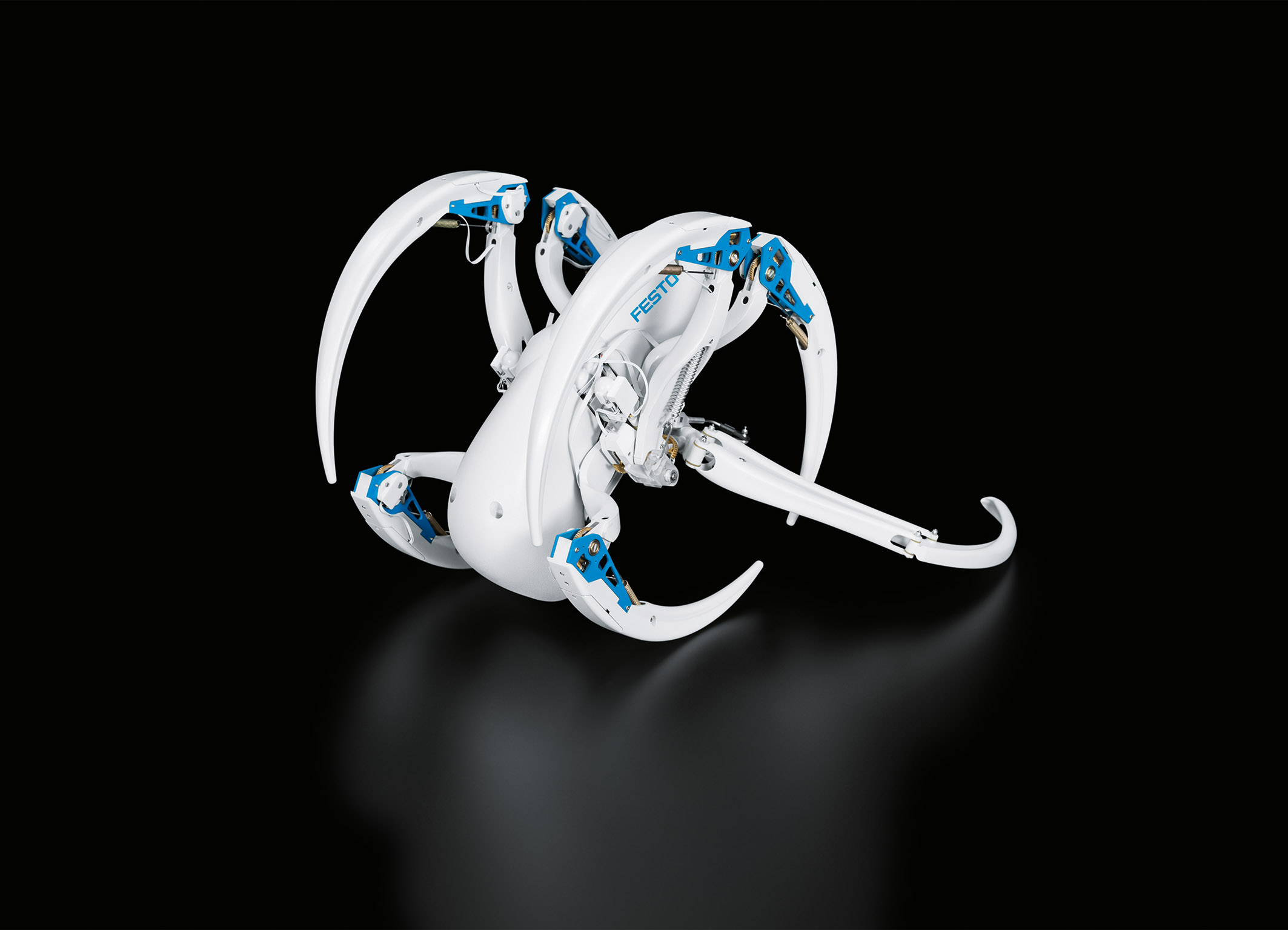 Unique forms of motion derived from nature: Projects from the Bionic ...